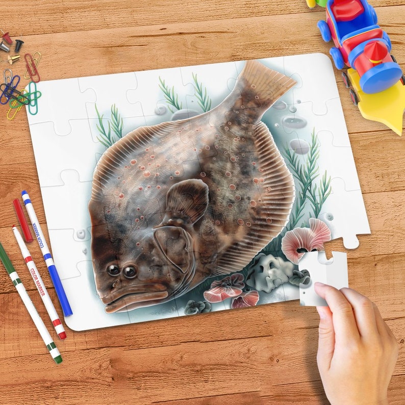 6 Flounder Fish Clipart, Flounder Clipart PNG, Fishing, Digital Graphic ...