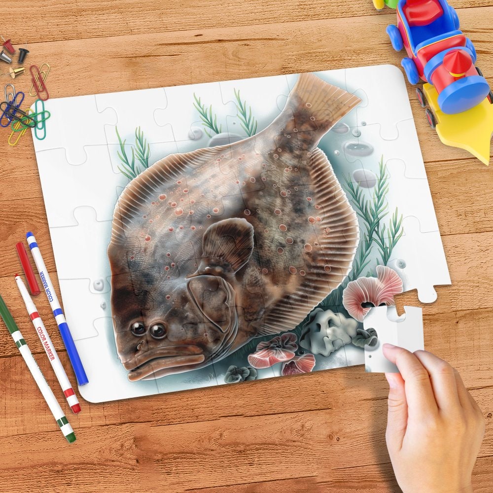 6 Flounder Fish Clipart, Flounder Clipart PNG, Fishing, Digital Graphic ...