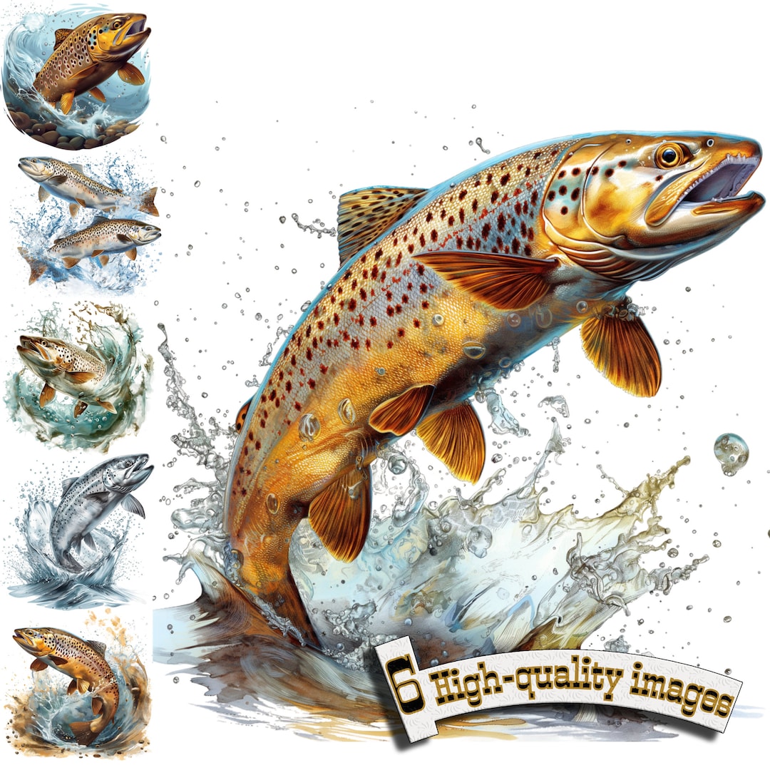 6 Trout Fish Clipart, Trout Fish Clipart PNG, Fishing, Digital Graphic ...