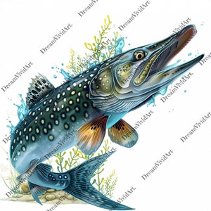 6 Pike Fish Clipart, Pike Clipart PNG, Fishing, Digital Graphic ...