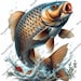 6 Carp Fish Clipart, Carp Clipart PNG, Fishing, Digital Graphic ...