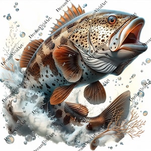 6 Grouper Fish Clipart, Grouper Fish Clipart PNG, Fishing, Digital ...