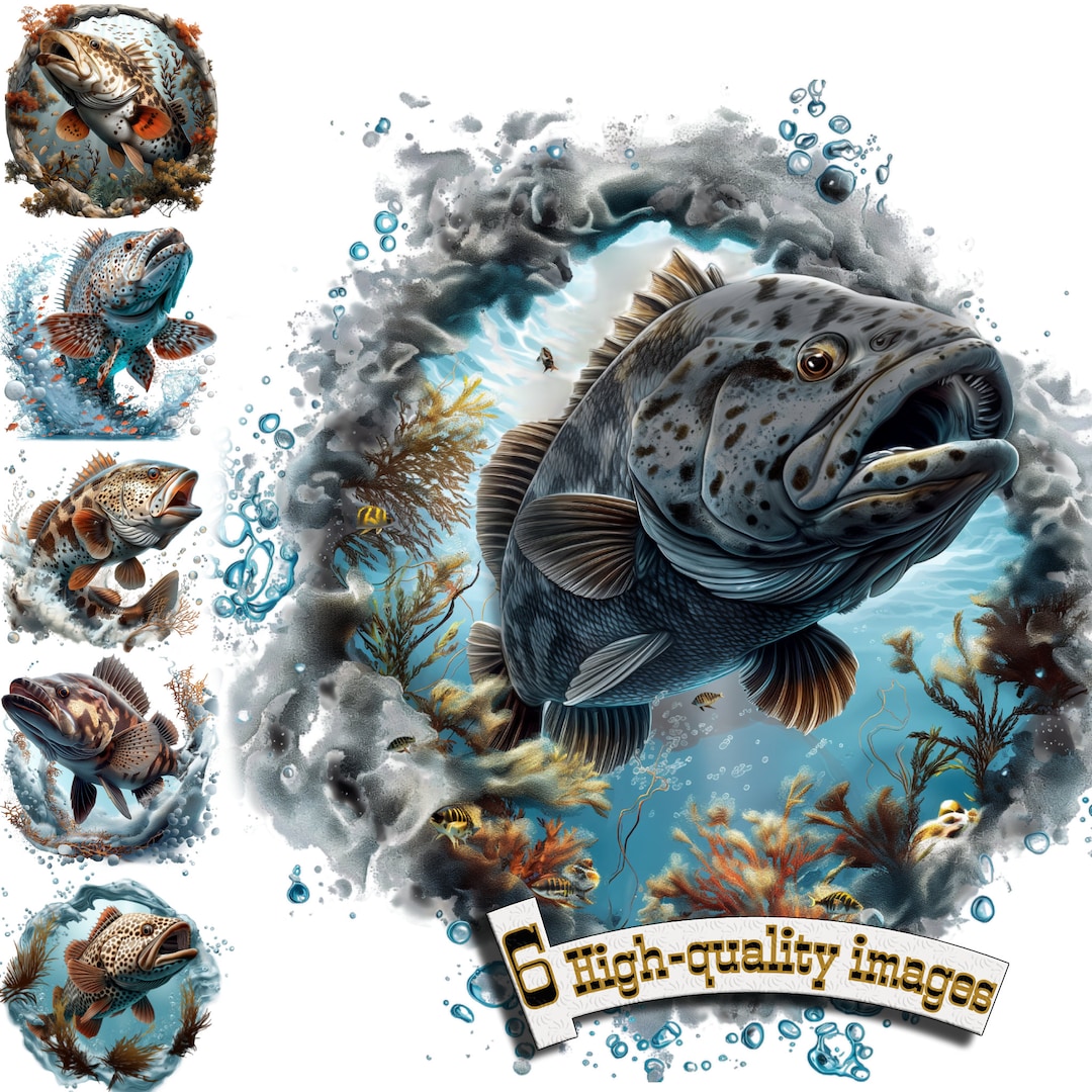 6 Grouper Fish Clipart, Grouper Fish Clipart PNG, Fishing, Digital ...