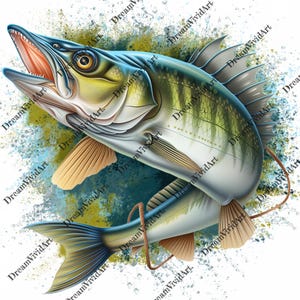 6 Zander Fish Digital Clipart: Instant Download PNG for Fishing ...