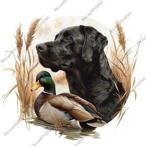 6 Labrador Hunting Dog Clipart: Black Retriever Digital Graphics for ...