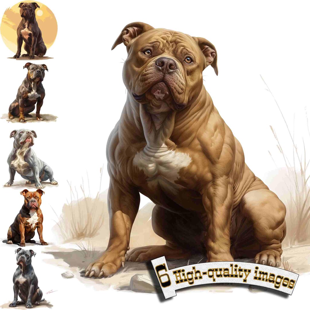 6 American Bully Dog Clipart Bundle: Digital Graphics, Instant Download ...