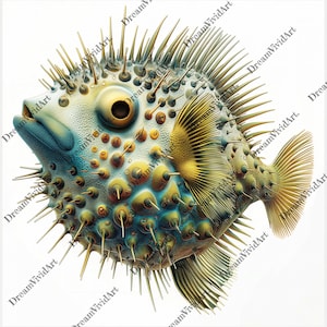 6 Pufferfish Clipart, Fancy Fish PNG, Digital Graphic, Instant Download ...