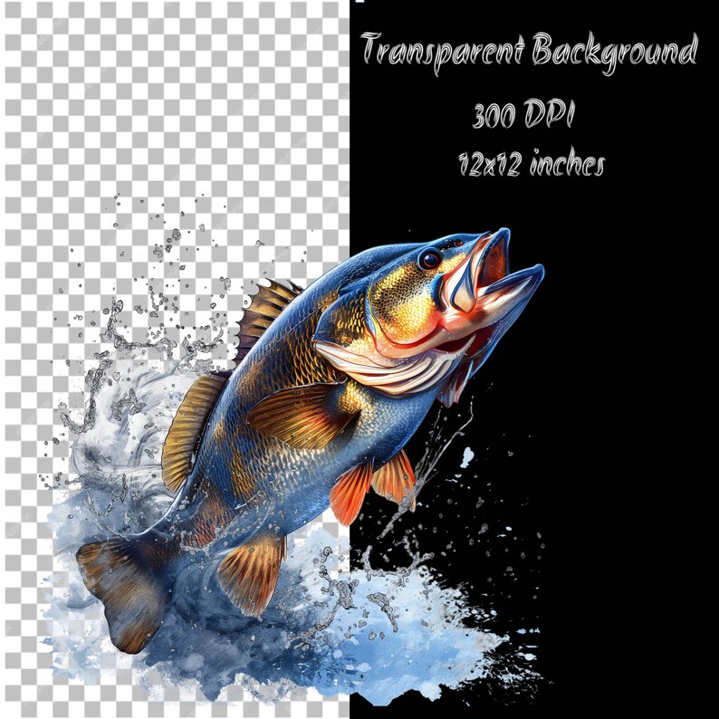 6 Bass Fish Clipart, Perch Fish Clipart PNG, Fishing, Digital Graphic ...