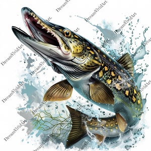 6 Pike Fish Clipart, Pike Clipart PNG, Fishing, Digital Graphic ...