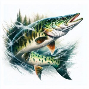6 Pike Fish Clipart, Pike Clipart PNG, Fishing, Digital Graphic ...