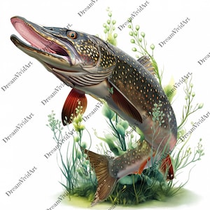 6 Pike Fish Clipart, Pike Clipart PNG, Fishing, Digital Graphic ...