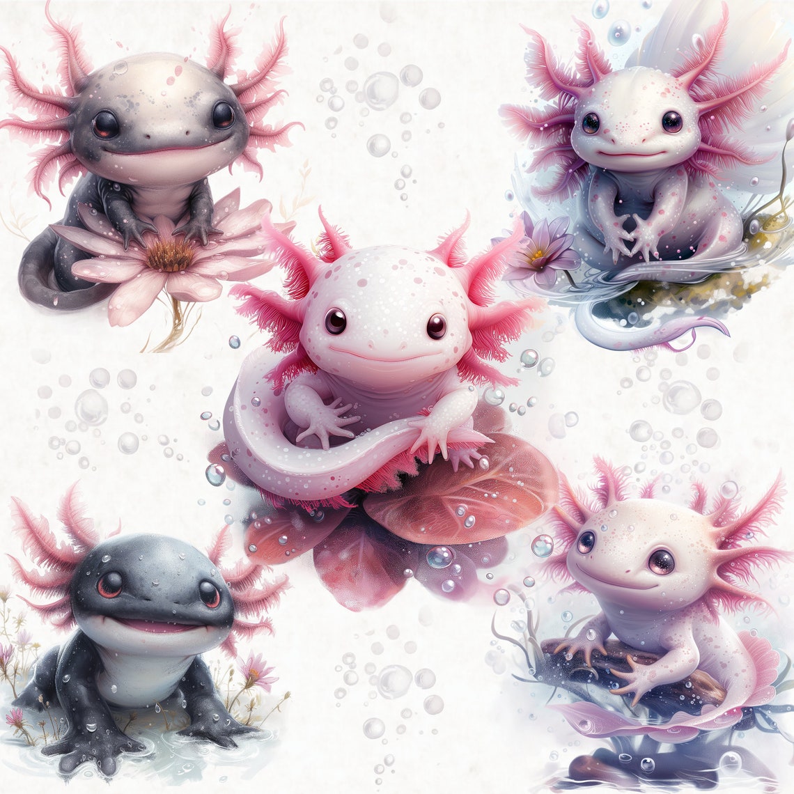 12 Axolotl Clipart, Cute Axolotl PNG, Axolotl Daisy Flowers, Water ...
