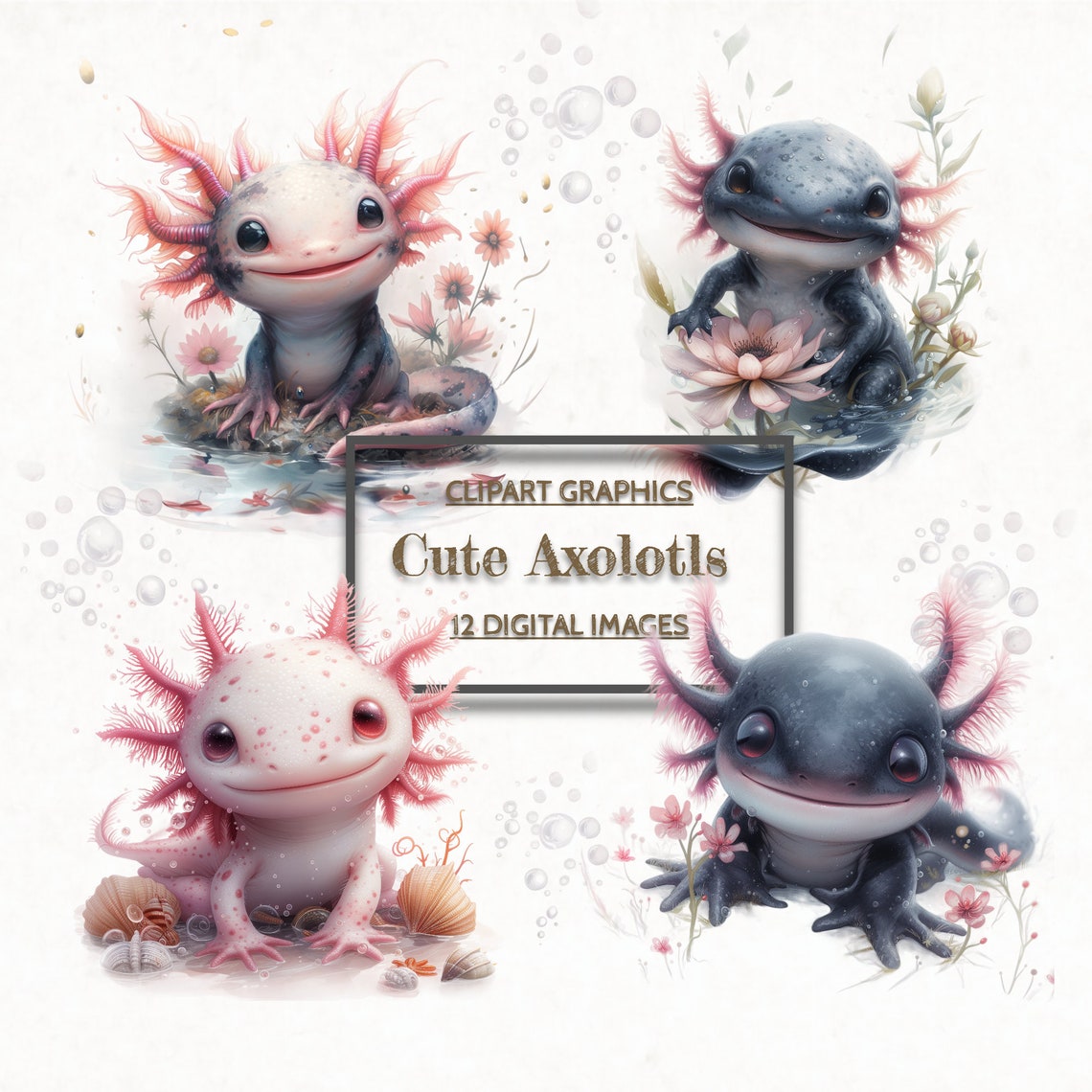 12 Axolotl Clipart, Cute Axolotl PNG, Axolotl Daisy Flowers, Water ...