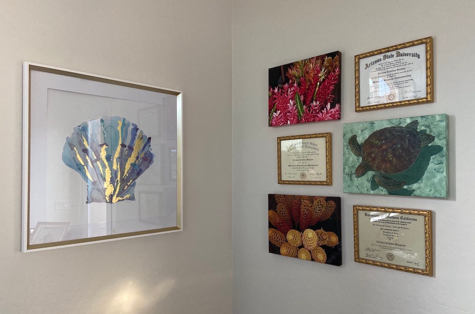 6-pack or 3-pack Picture Hanger, Picture Frame Hanging Kit, Dual ...