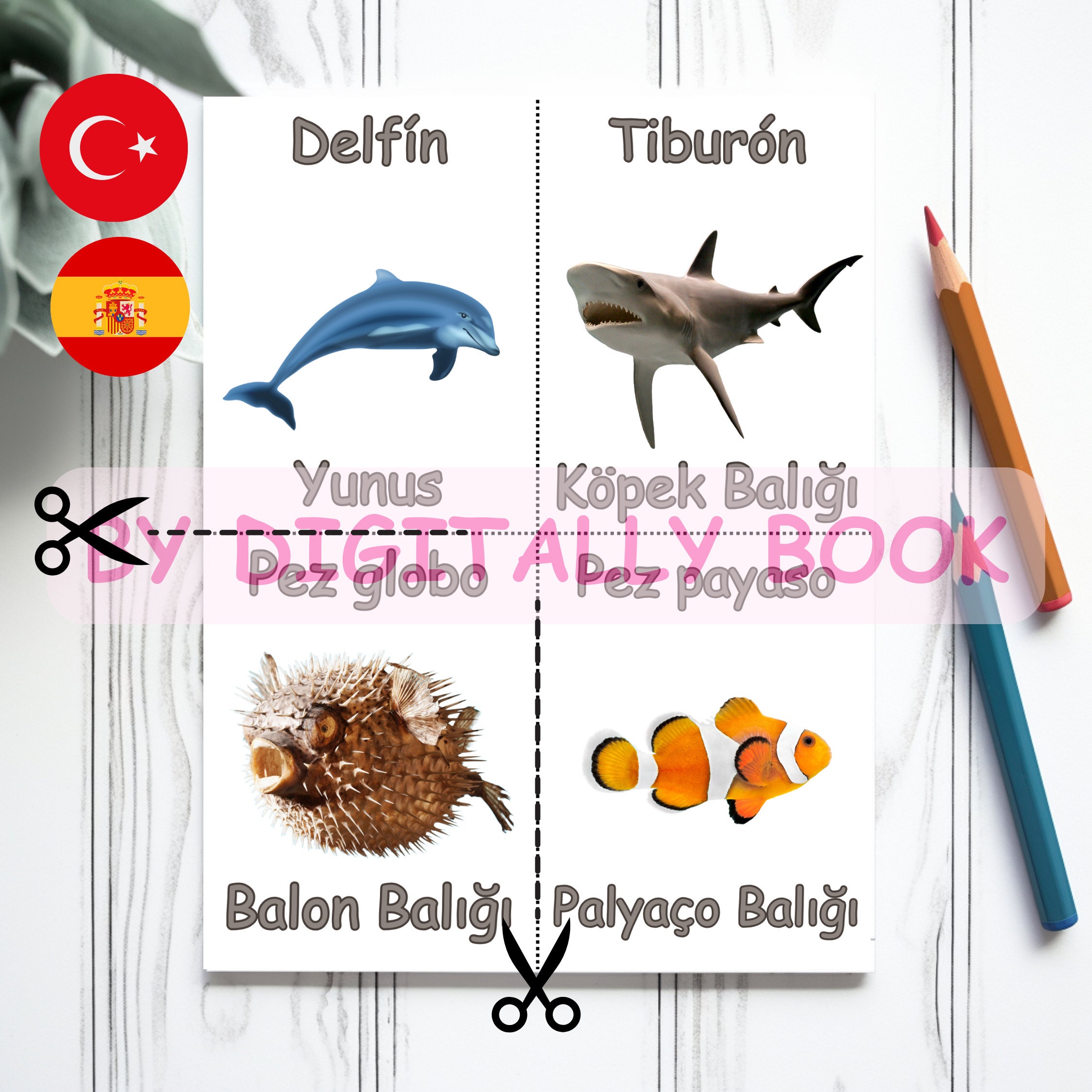 All Animals Turkish Spanish Bilingual Cards 60 Spanish Flash Cards ...