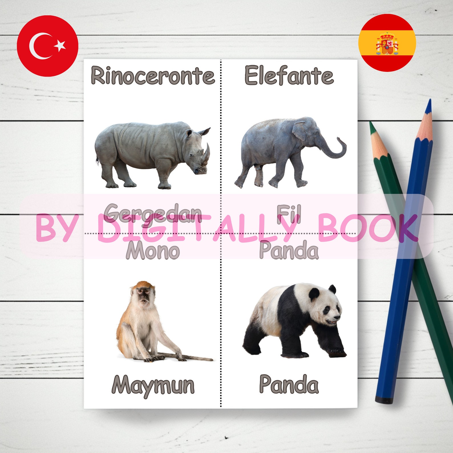 All Animals Turkish Spanish Bilingual Cards 60 Spanish Flash Cards ...