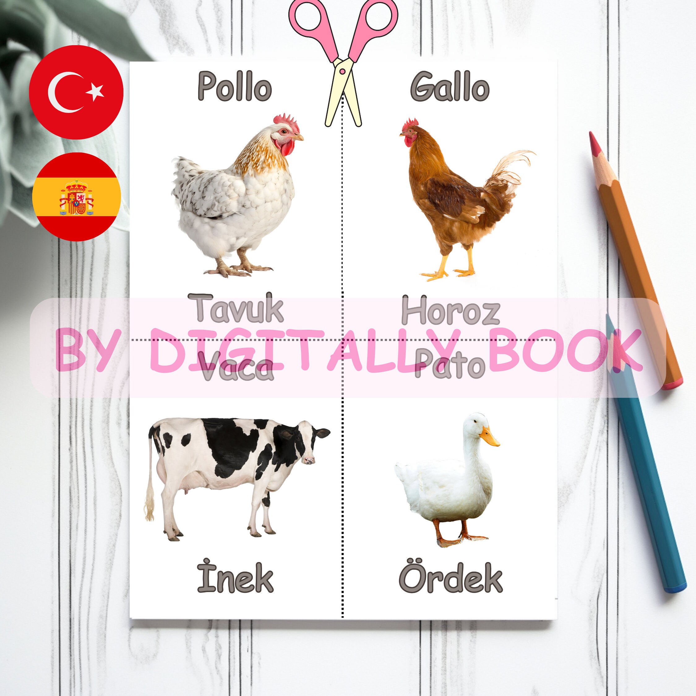 All Animals Turkish Spanish Bilingual Cards 60 Spanish Flash Cards ...