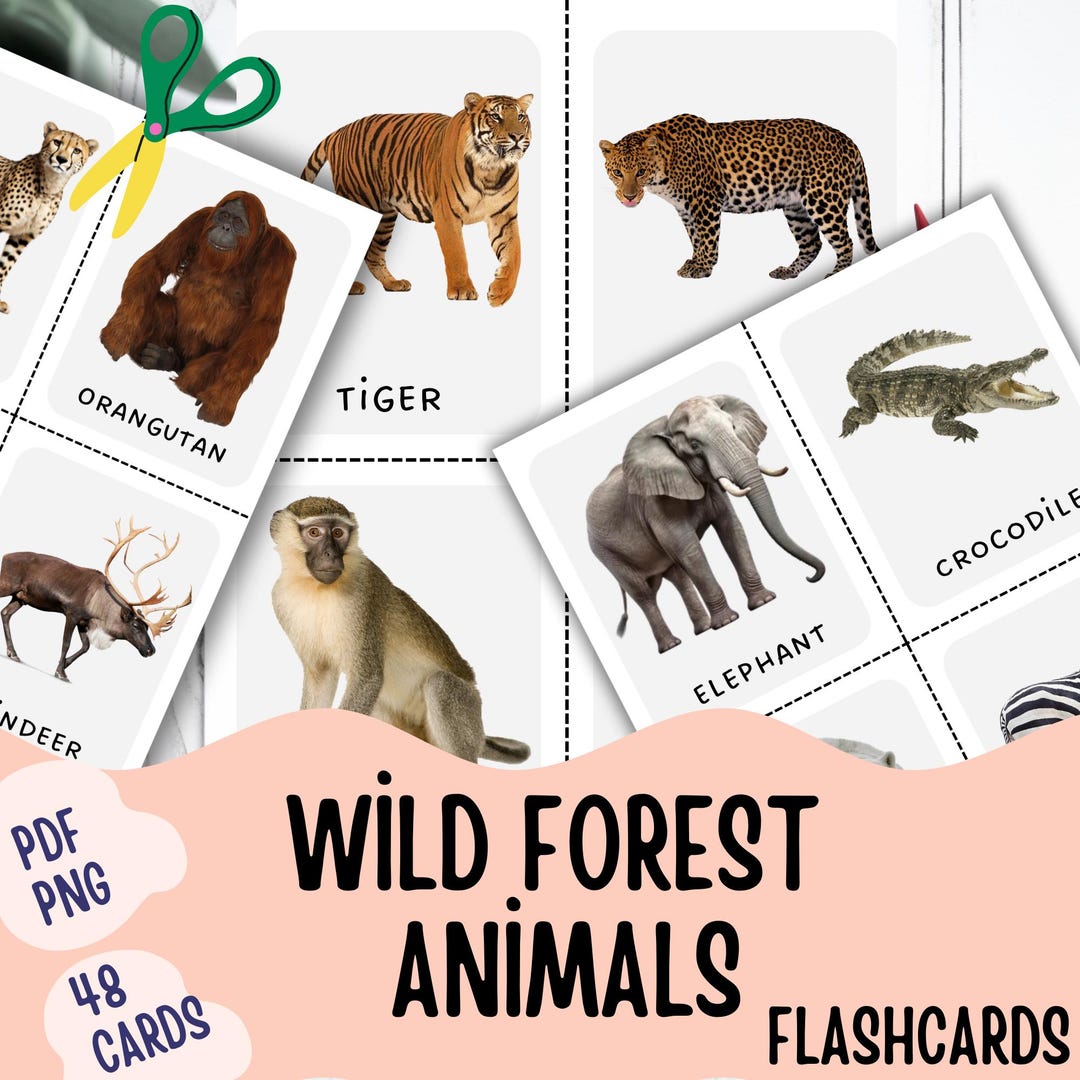 Wild Animals Real Pictures , 48 Forest Animals Flash Cards ,animals ...