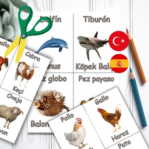 All Animals Turkish Spanish Bilingual Cards 60 Spanish Flash Cards ...