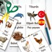 All Animals Turkish Spanish Bilingual Cards 60 Spanish Flash Cards ...