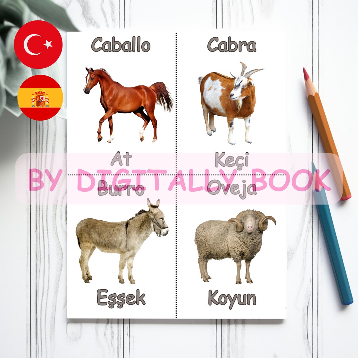 All Animals Turkish Spanish Bilingual Cards 60 Spanish Flash Cards ...