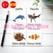 All Animals Turkish Spanish Bilingual Cards 60 Spanish Flash Cards ...