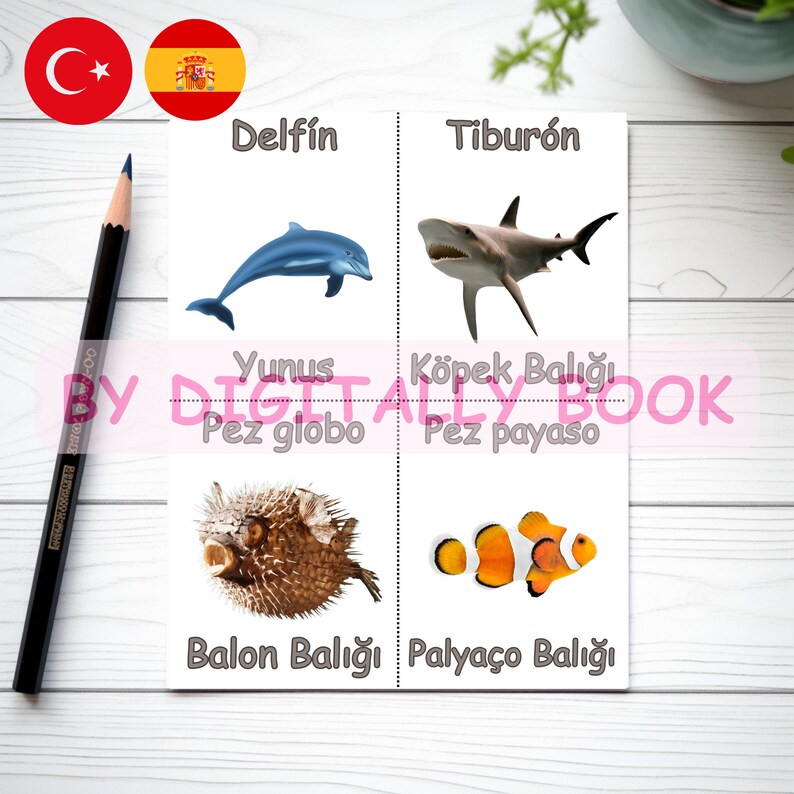 All Animals Turkish Spanish Bilingual Cards 60 Spanish Flash Cards ...