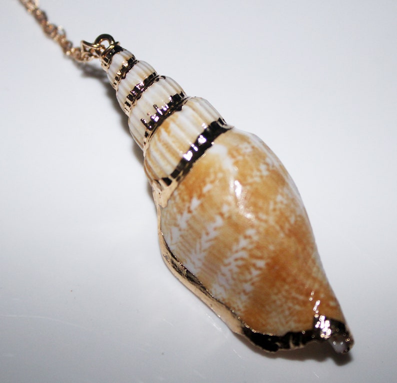 Polished and Gilded Conch Shell Pendant on a 28" Gold Filled Cable ...