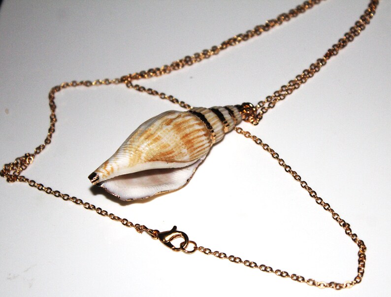 Polished and Gilded Conch Shell Pendant on a 28" Gold Filled Cable ...
