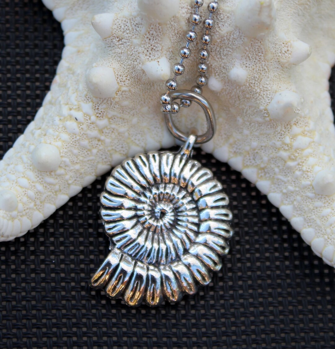 Nautilus Shell Pendant Necklace - Antique Silver on an 18" Ball Chain ...