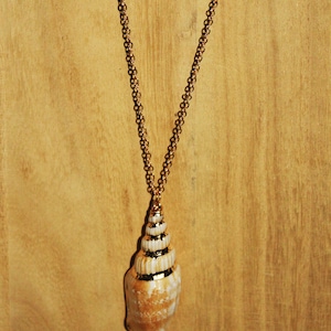 Polished and Gilded Conch Shell Pendant on a 28" Gold Filled Cable ...