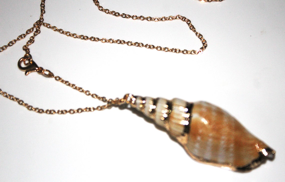 Polished and Gilded Conch Shell Pendant on a 28" Gold Filled Cable ...