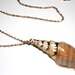 Polished and Gilded Conch Shell Pendant on a 28" Gold Filled Cable ...