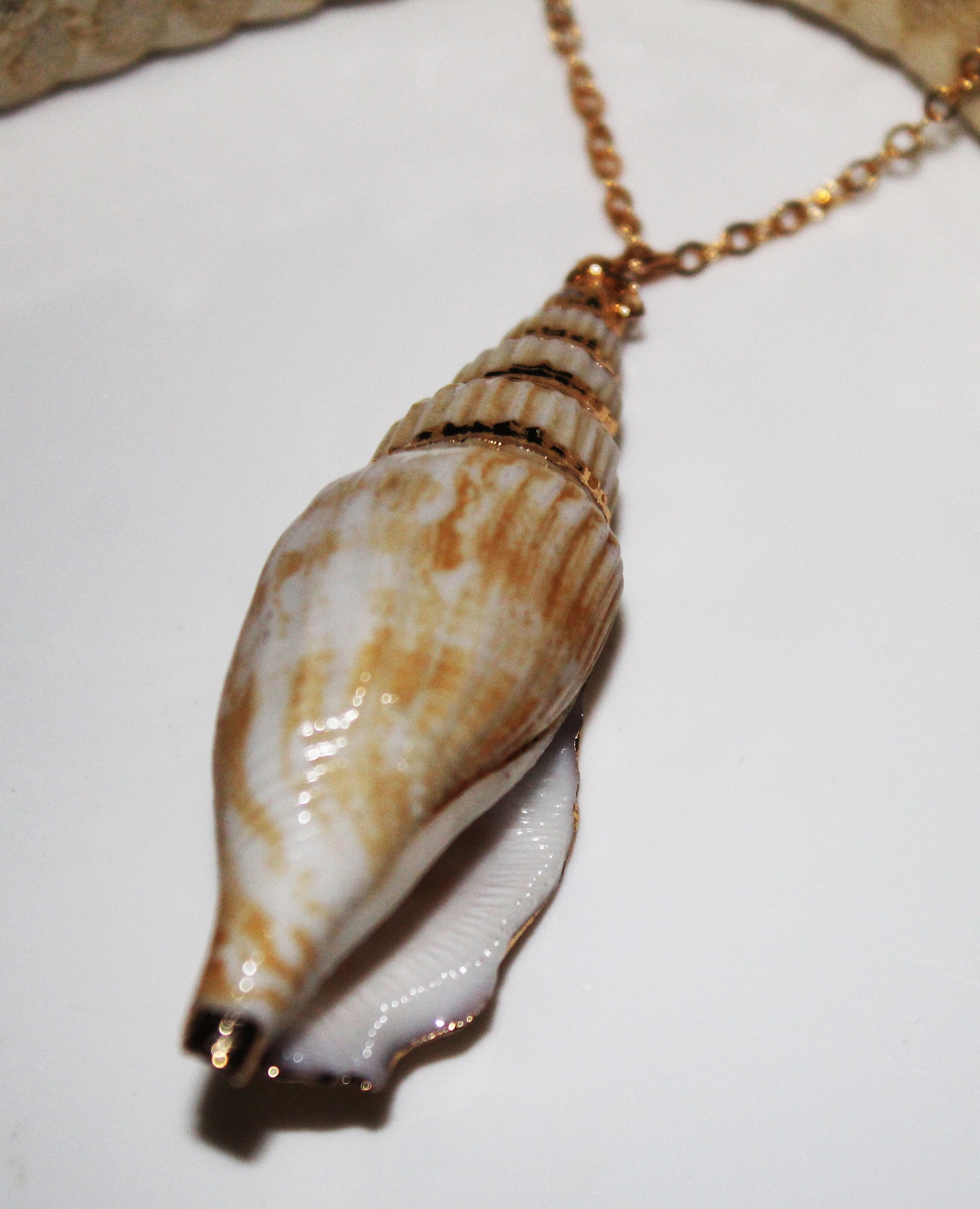 Polished and Gilded Conch Shell Pendant on a 28" Gold Filled Cable ...
