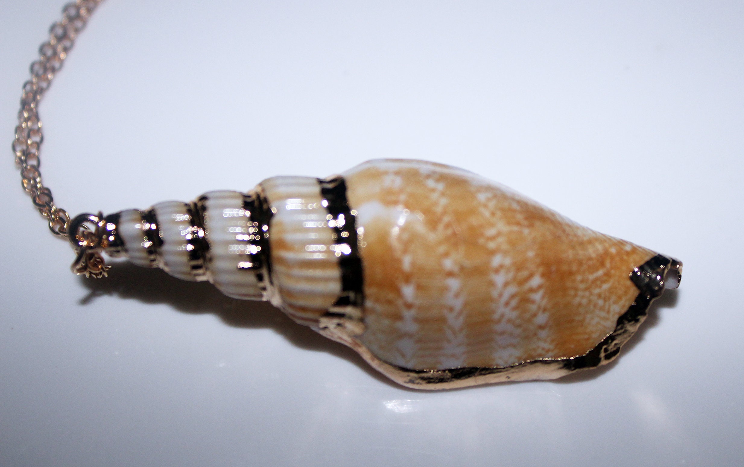Polished and Gilded Conch Shell Pendant on a 28" Gold Filled Cable ...