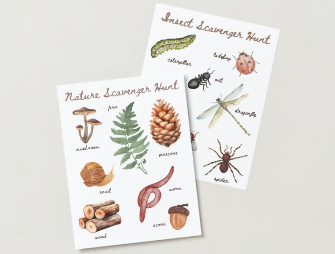 Toddler Scavenger Hunt Cards (set of 3) | Indoor, Outdoor, & Nature ...