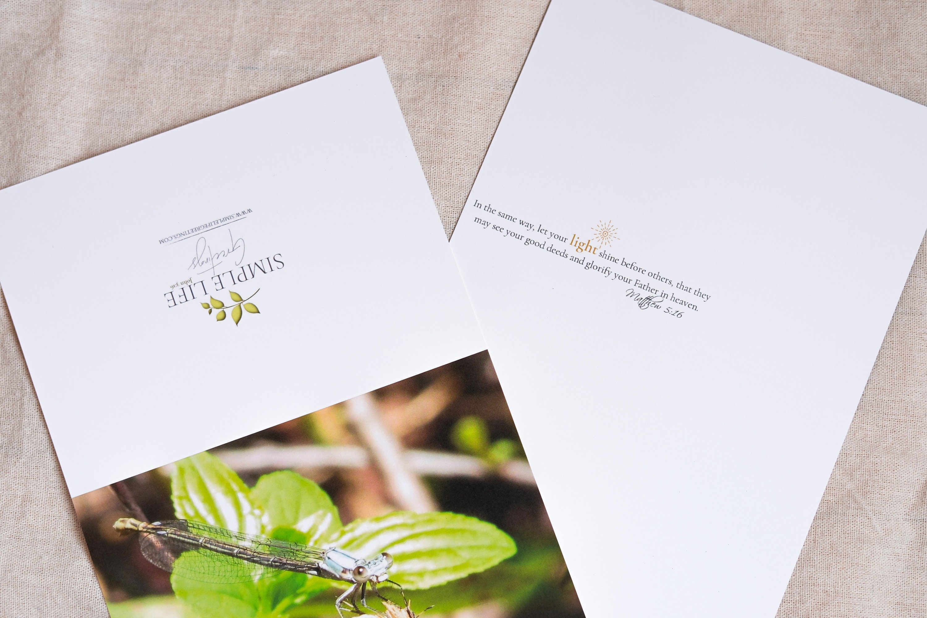 5x7 Greeting Card miss Mischievous - Etsy