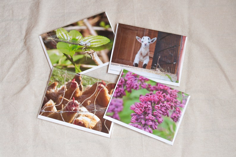 5x7 Greeting Card miss Mischievous - Etsy