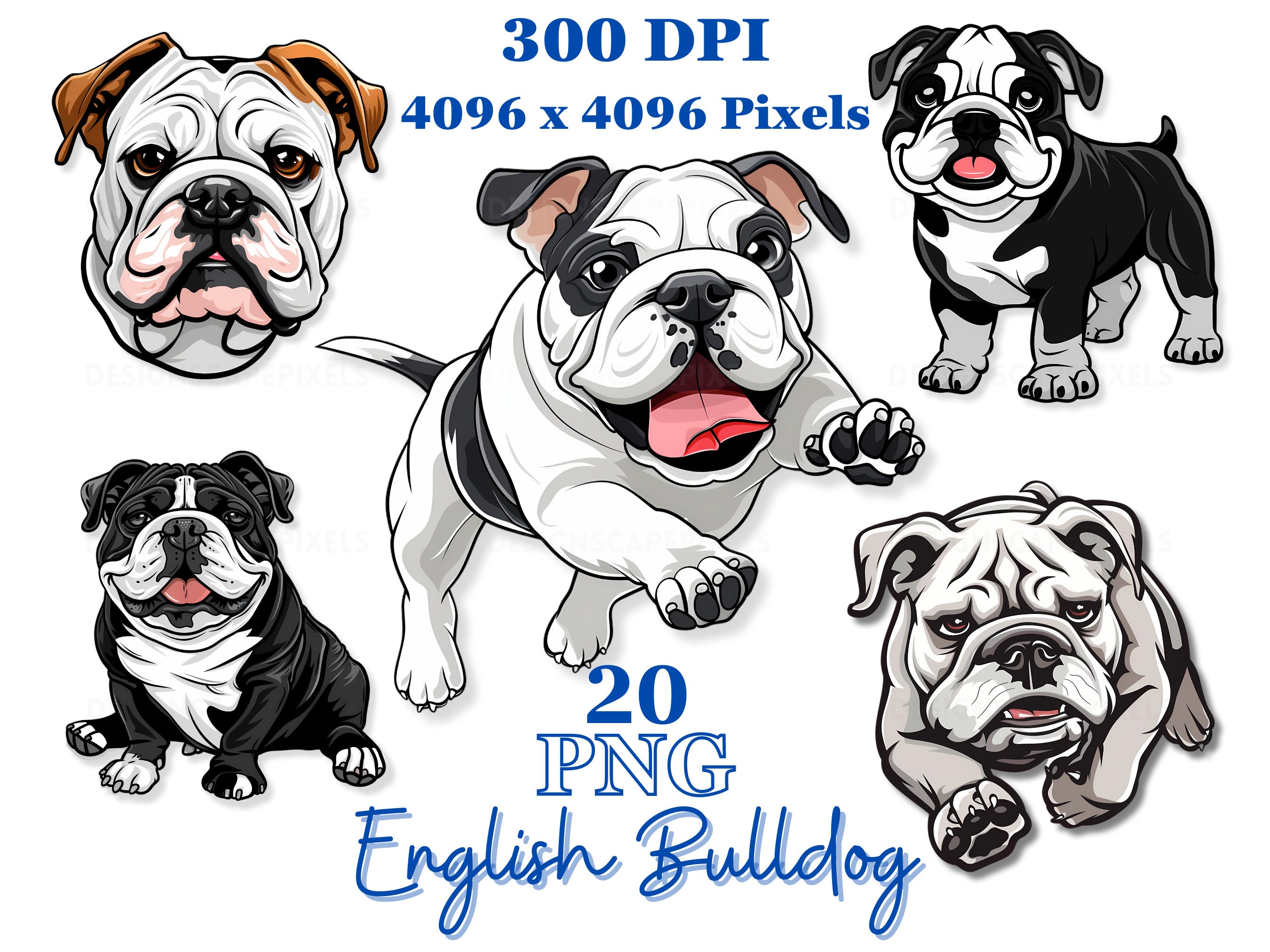 English Bulldog Clipart Bundle Dog Sublimation Designs Dog Breeds PNG ...