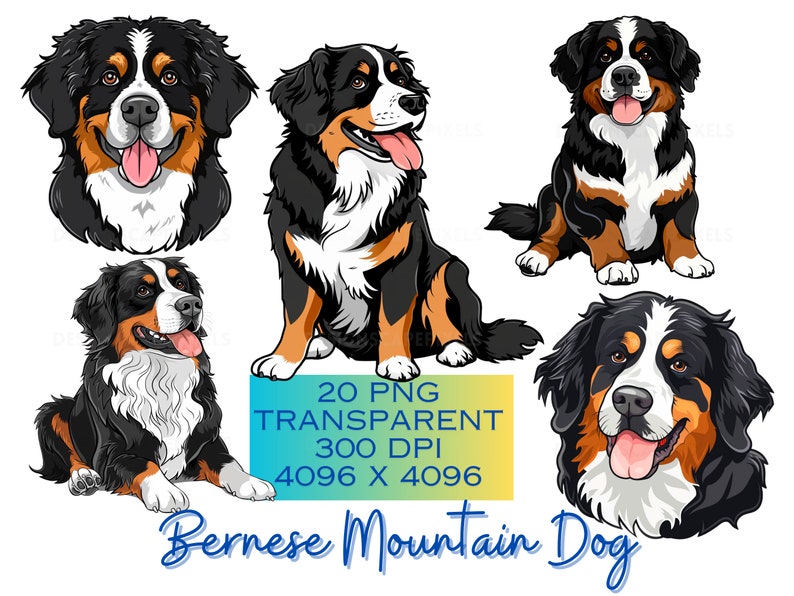 Bernese Mountain Dog Clipart Cute Bernese Mountain Dog Cartoon Art ...