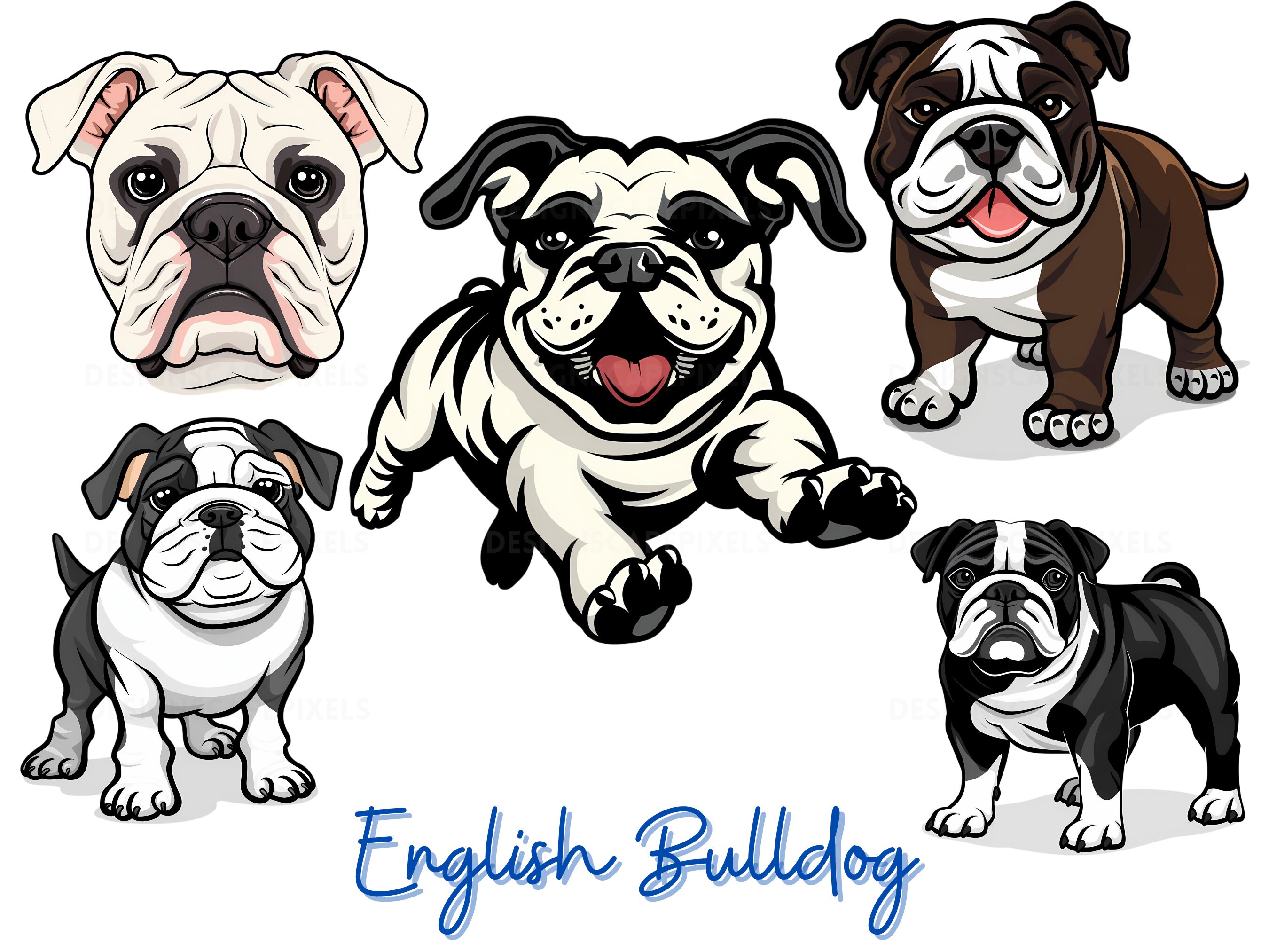English Bulldog Clipart Bundle Dog Sublimation Designs Dog Breeds PNG ...