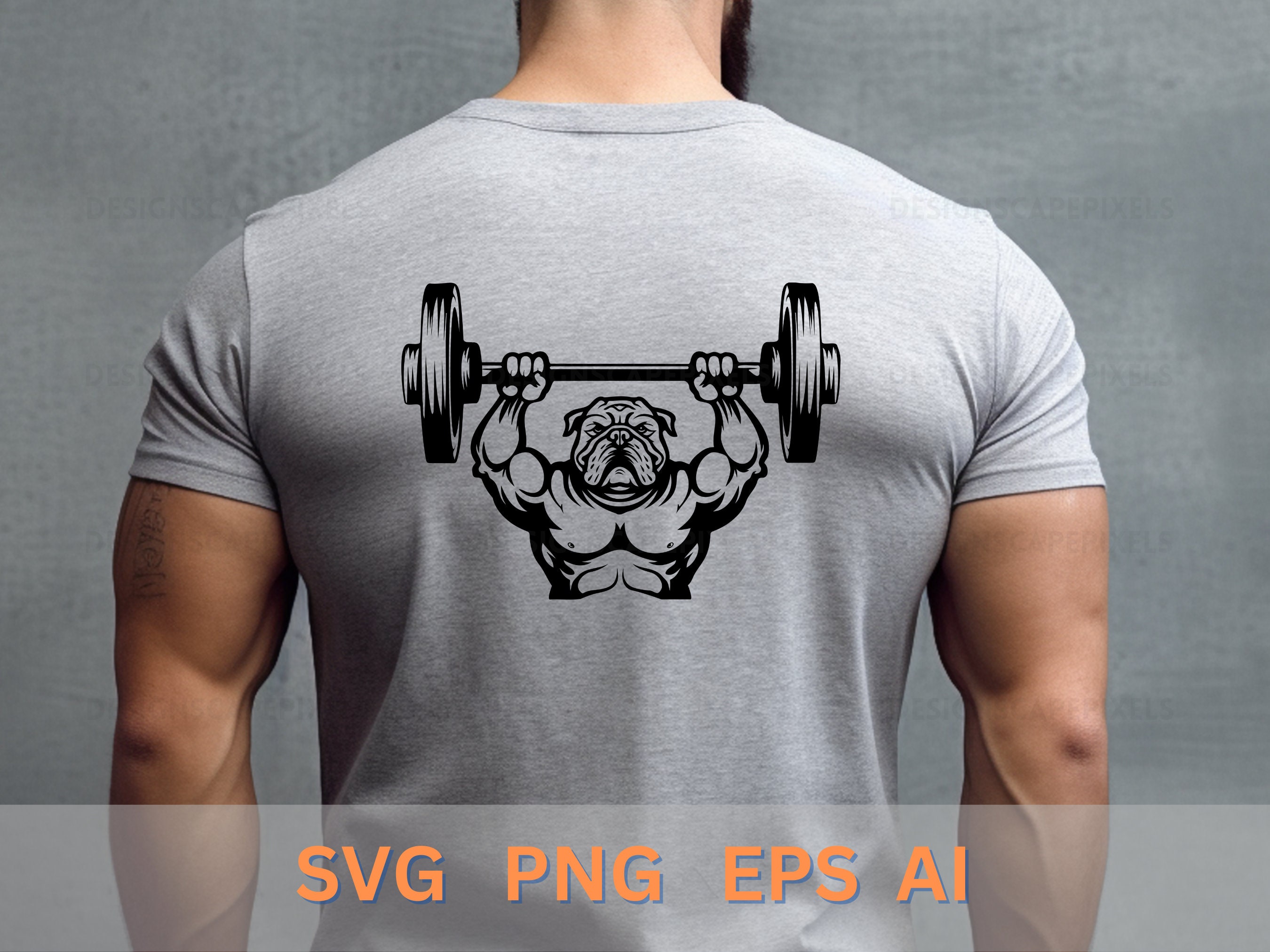 Bulldog SVG Bulldog Body Builder Svg Bulldog Weights PNG Bulldog Vector ...