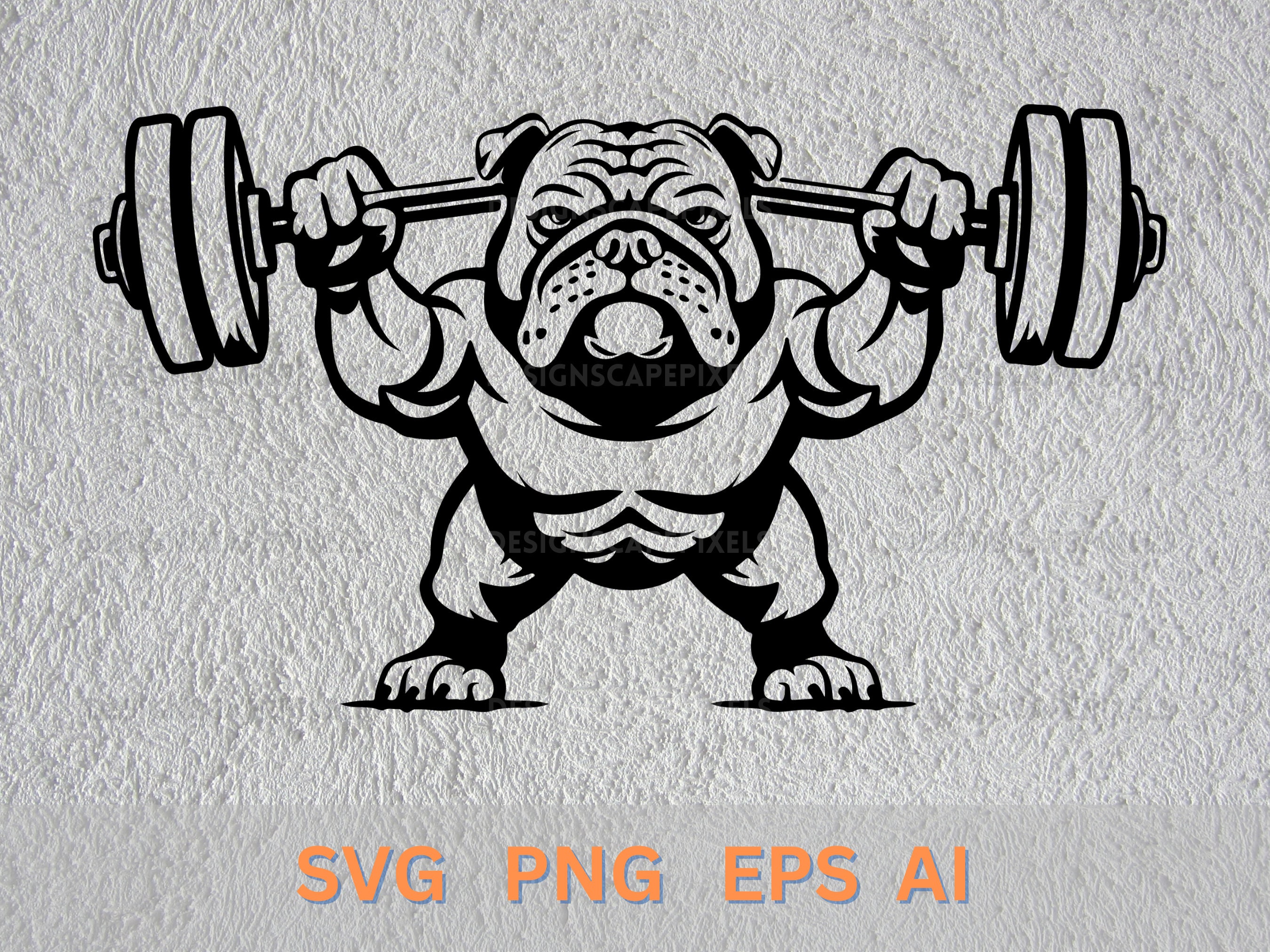 Bulldog SVG Bulldog Body Builder Svg Bulldog Weights PNG Bulldog Vector ...