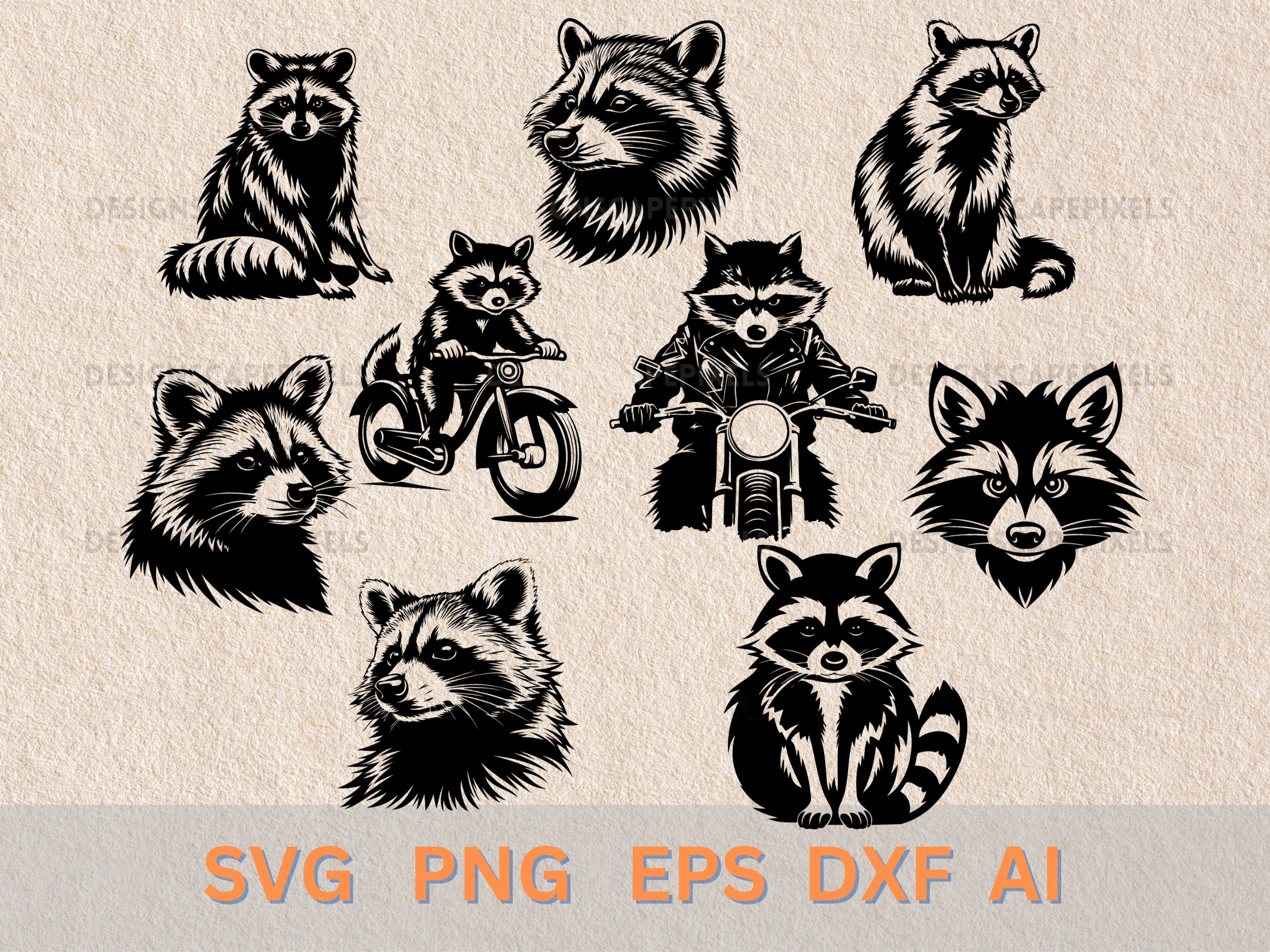 Raccoon SVG Cute Raccoon Svg Raccoon Vector File Animal Svg Raccoon ...