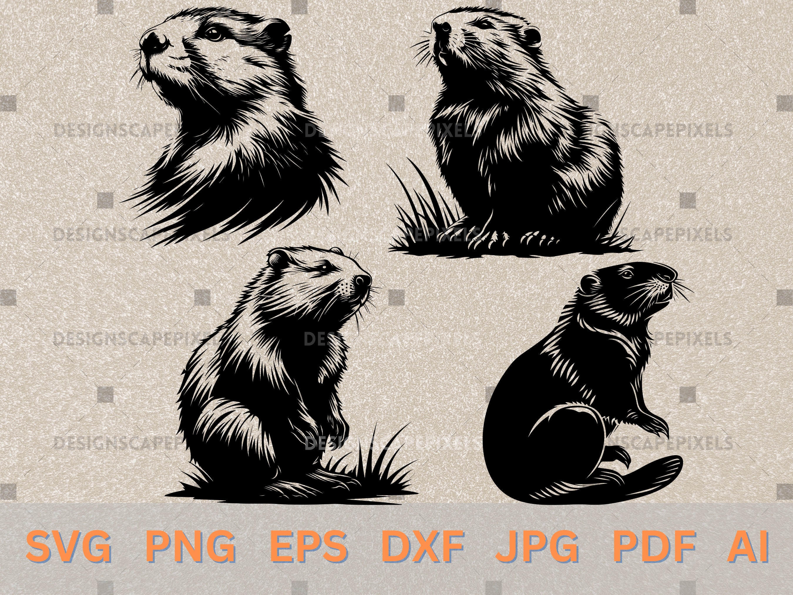 SVG Beaver Silhouette Bundle Beaver Vector File Cricut Cutting File ...