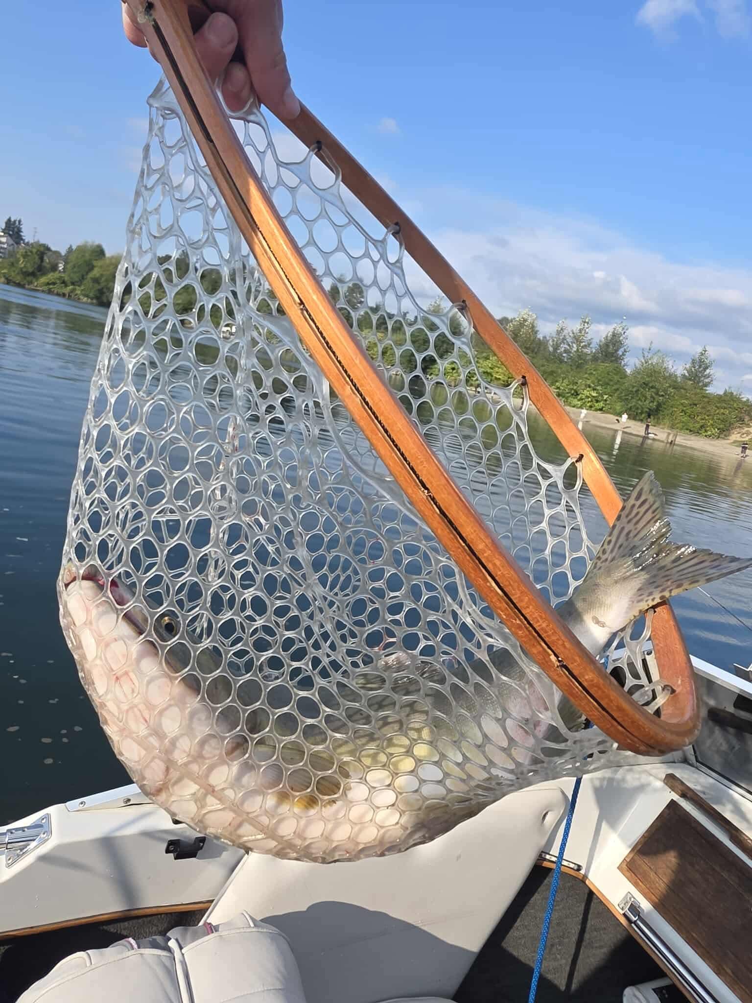Handcrafted Walnut & Cherry Wood Fishing Landing Net: Custom Angler ...