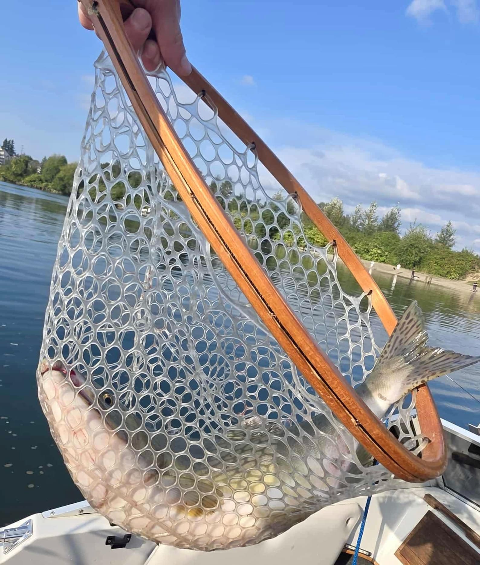 Handcrafted Walnut & Cherry Wood Fishing Landing Net: Custom Angler ...