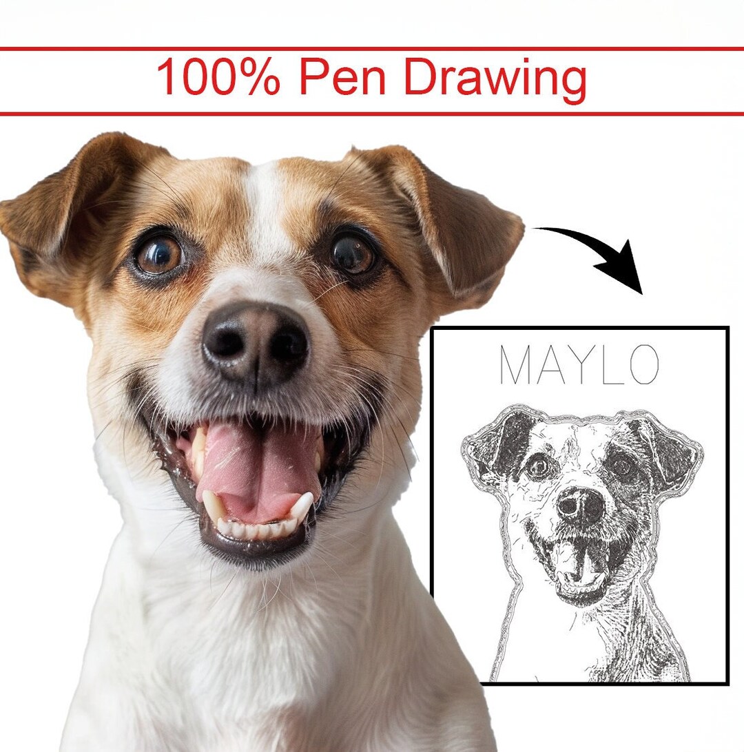 Hand-drawn Pet Portrait, Unique Pet Art, Custom Dog Sketch ...