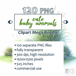 Baby Animals PNG Clipart, Nursery Art Prints (commercial Use, 120 ...
