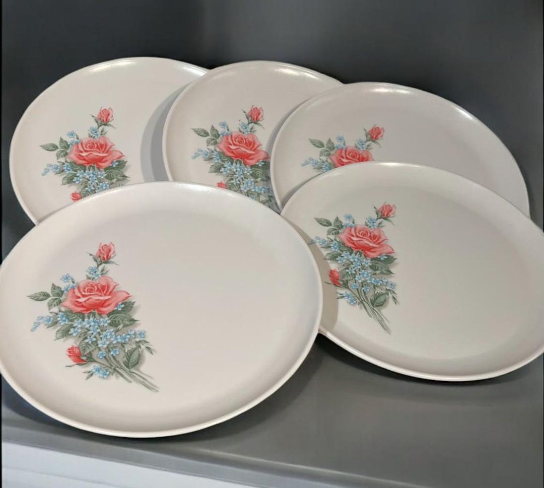 Set of Five 9" Melmac Dishes With Rose Pattern - Etsy